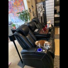 Seatcraft Omega Media Room Set - Multimedia Sofas | 4seating.com